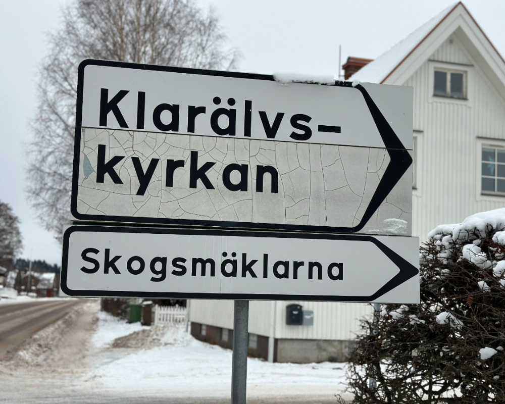 Från start till skog: Följ med Anna Melin-Nyströms karriär på 23 år som ...