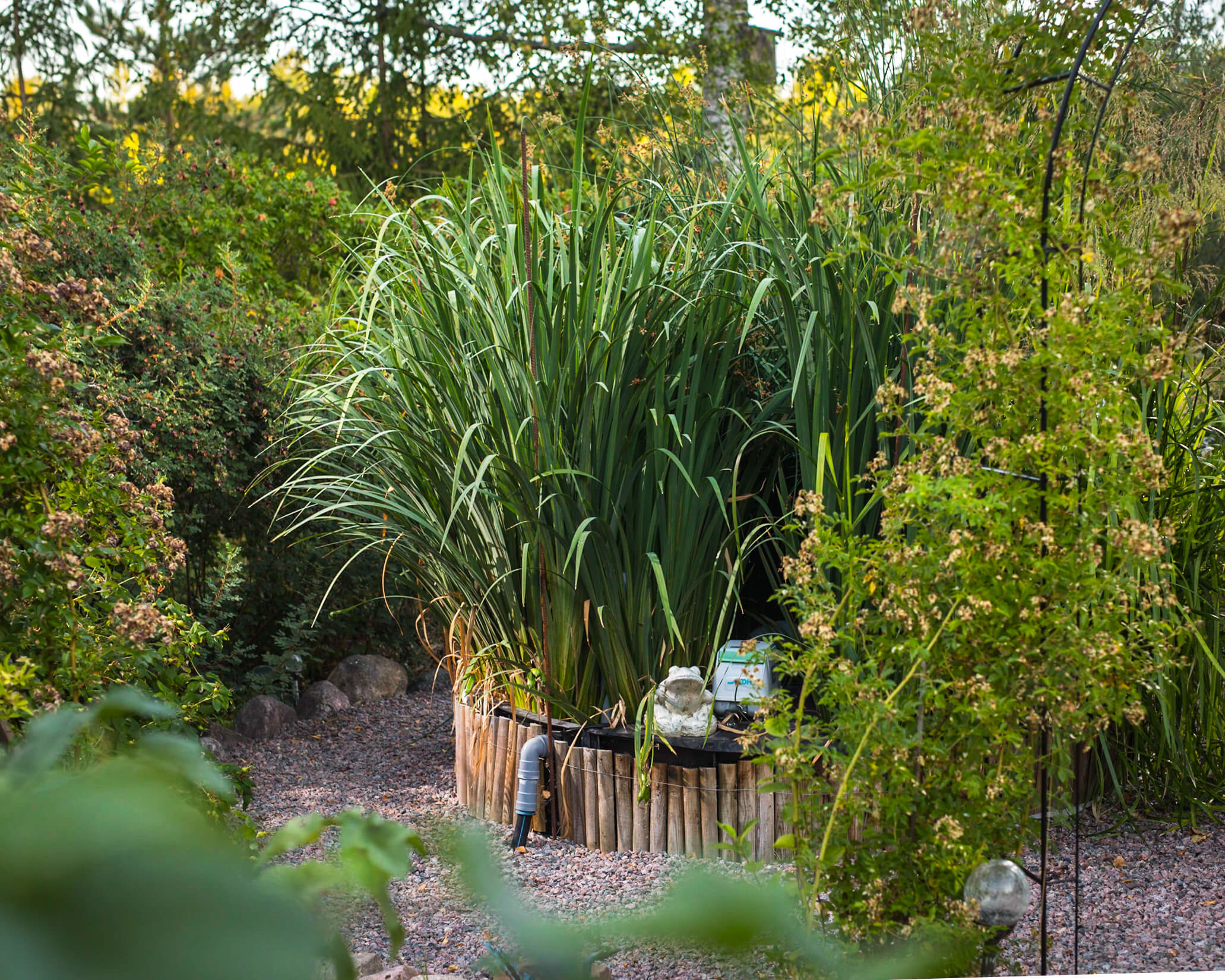Därför ska du välja avloppsrening som baseras helt på naturens villkor ...