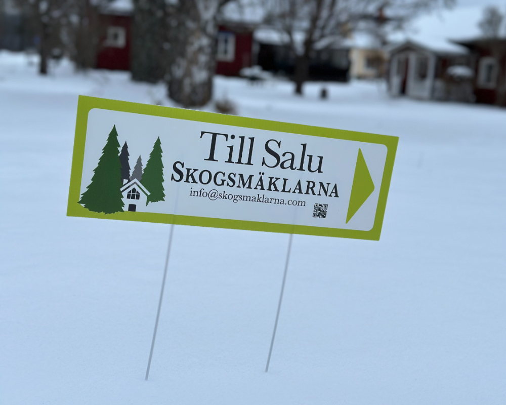 Från start till skog: Följ med Anna Melin-Nyströms karriär på 23 år som ...