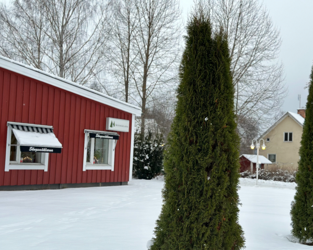 Från start till skog: Följ med Anna Melin-Nyströms karriär på 23 år som ...
